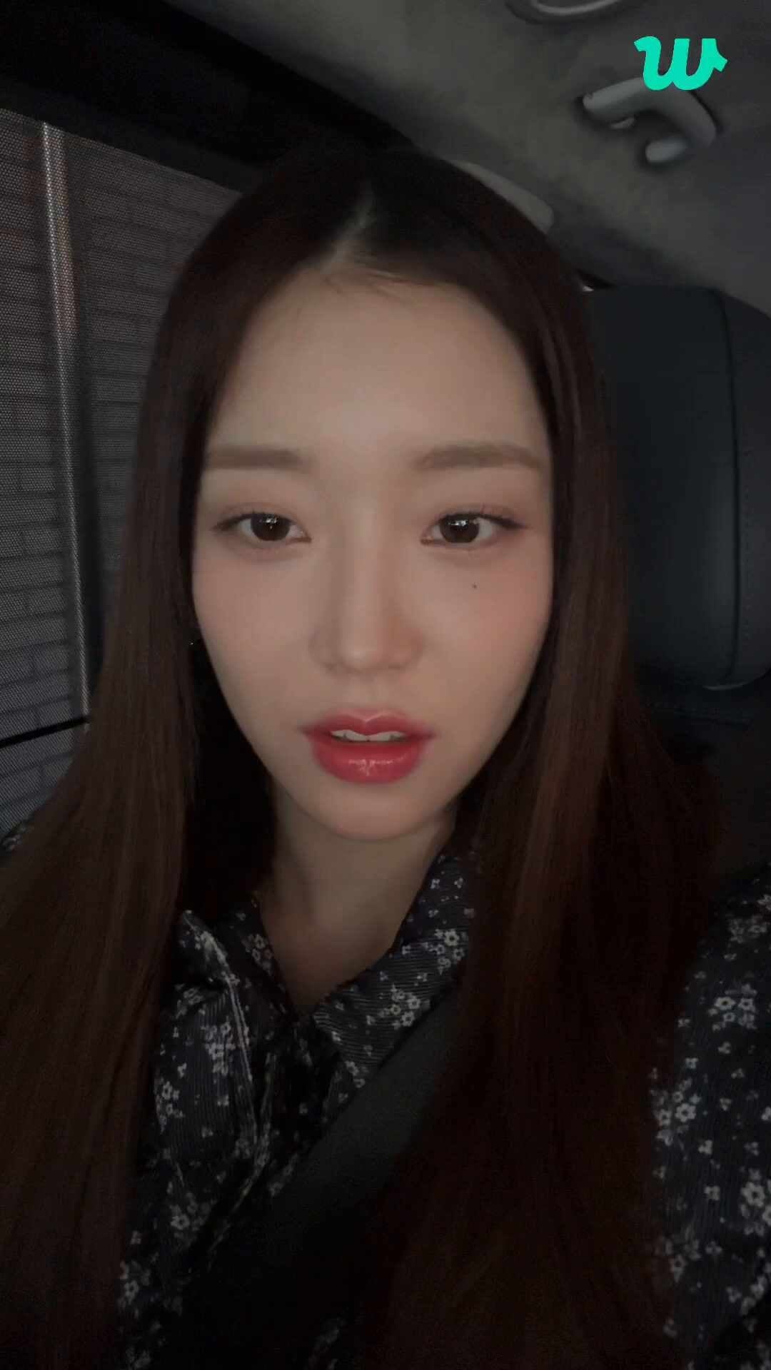 새해가 밝았습니다🦜☀️