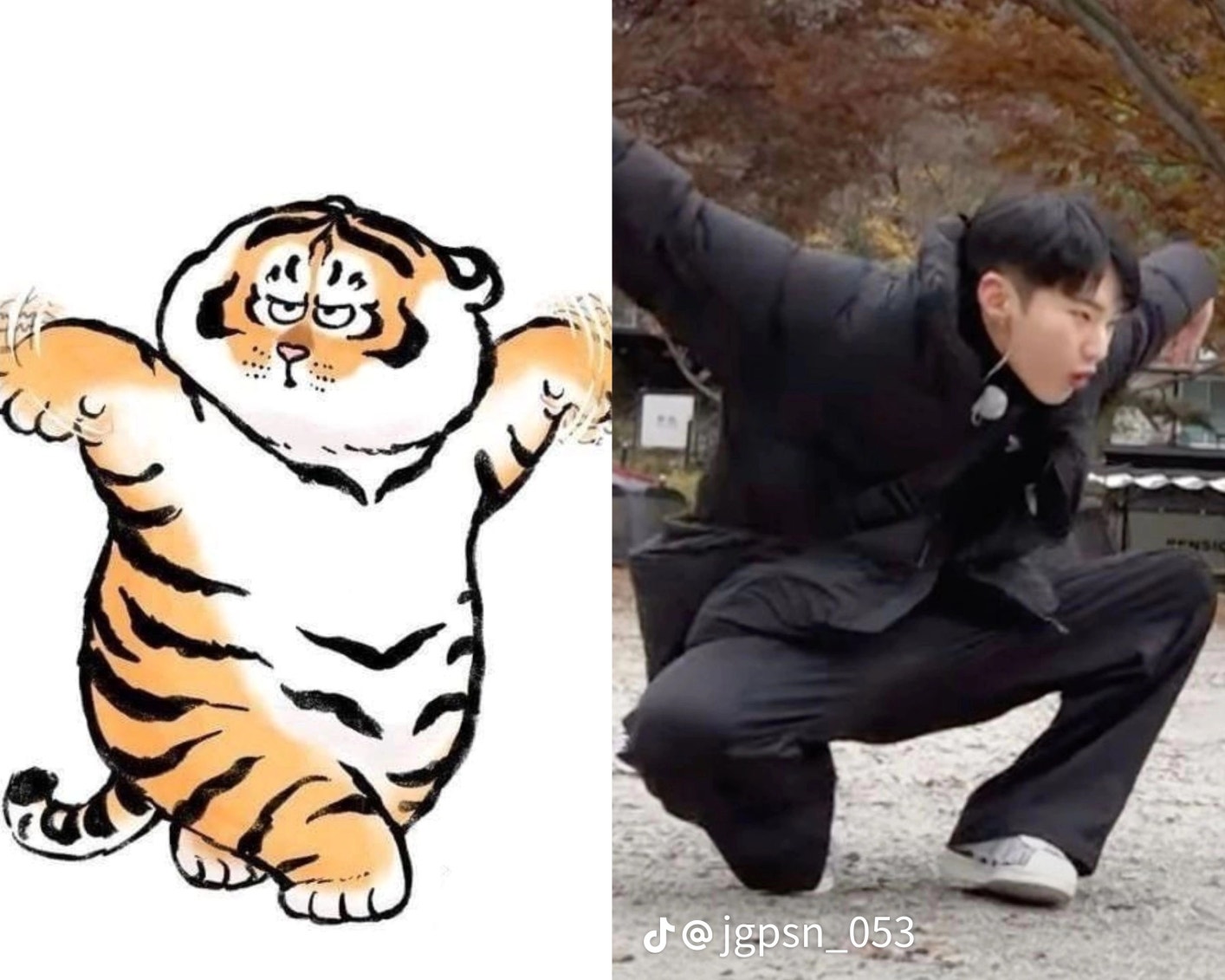 SEVENTEEN Community Post - enjoy, tiger hoshi 🐯♥️ (part 2) 내가 생각하기에 네가 ...