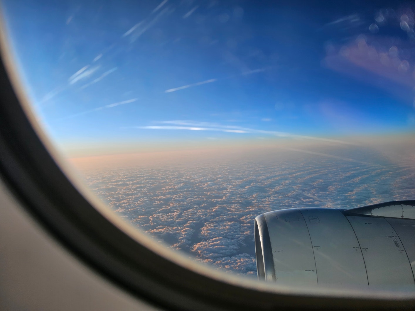 ENHYPEN 커뮤니티 포스트 - ️ - 정원