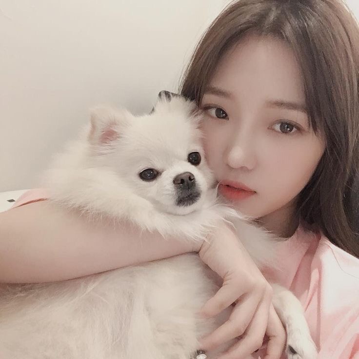Fromis 9 Community Post 지선시