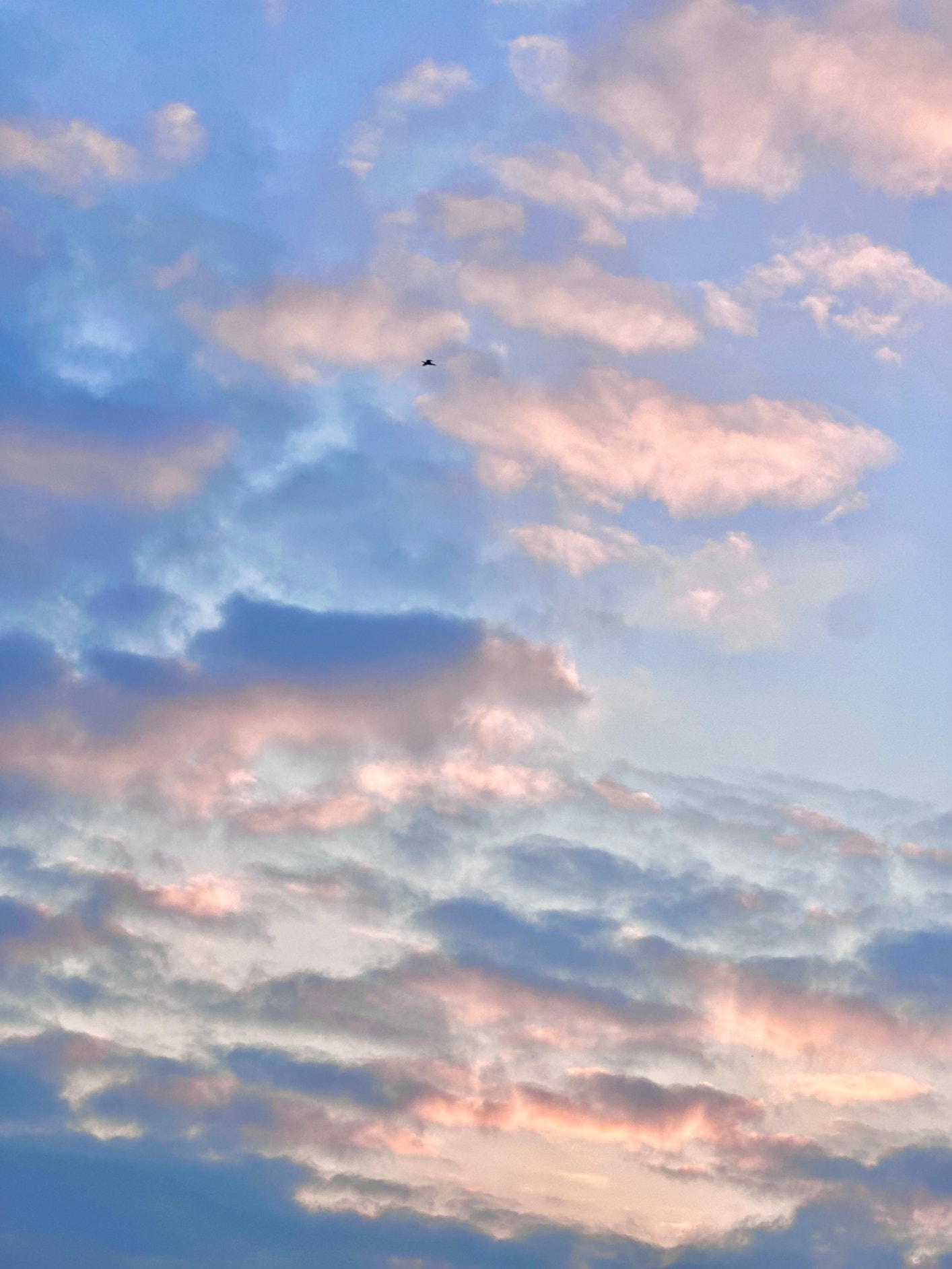 Lun8 커뮤니티 포스트 오늘 하늘 넘 이쁘당☁️☁️ 추우니까 따뜻하게입고🤩 오늘 하루도 행복하게 보내세여🩵