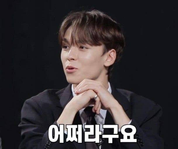 Seventeen Community Post 일상생활에서 활용하기 좋은 고잉셉 짤나눔😝
