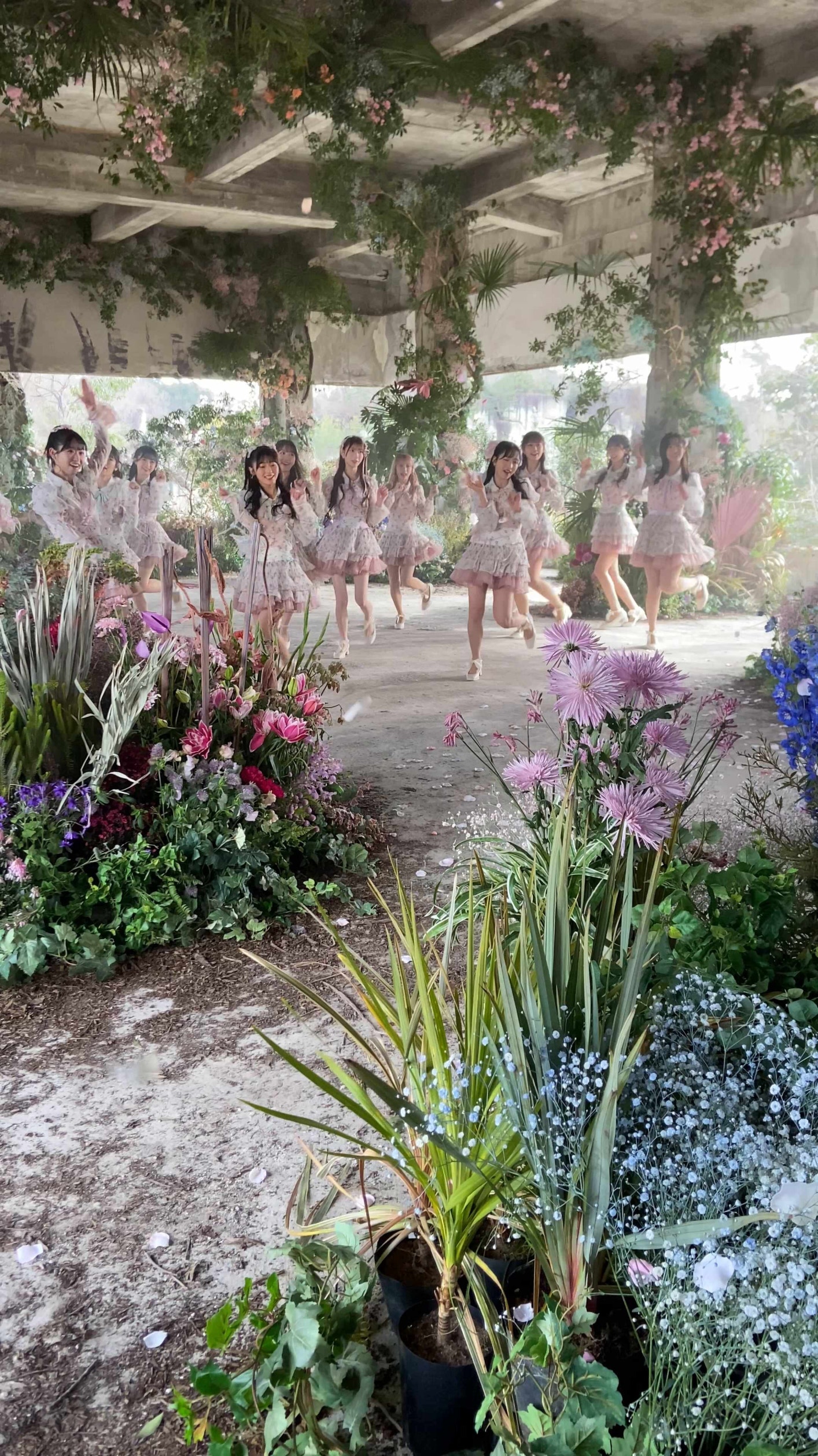 AKB48 Community Posts - 💌AKB48 63rd Single「カラコンウインク」MVが公開されました🥳🎊 🌸 前回シングルに引き続き、MV撮影現場にWeverseカメラ ...