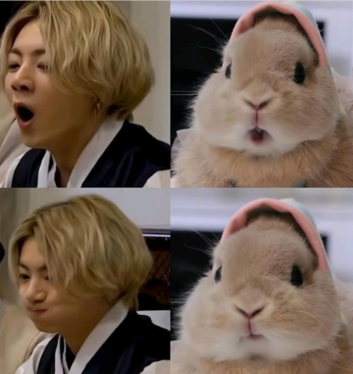 BTS Community Post - Bunny 🐰 Rabbit 🐇
