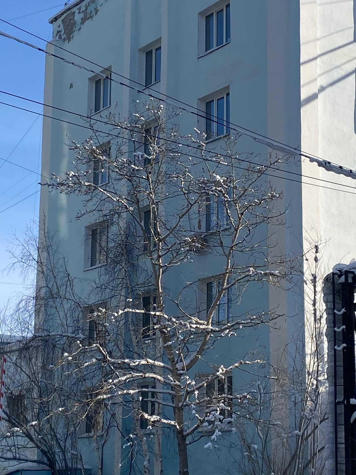 ENHYPEN Community Post - since we’re sharing photos 🙂