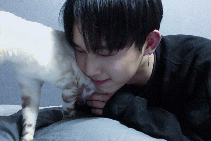 Btob Community Posts 혹시 전과자 언제 하는지 아시는 멜로디 있으실까요오