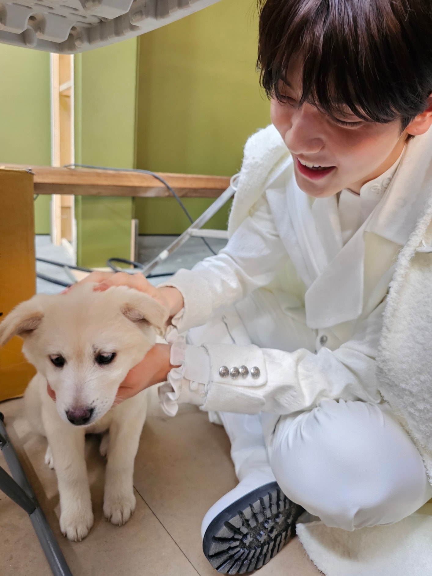 TOMORROW X TOGETHER Community Post - 강아지야🫠... - SOOBIN