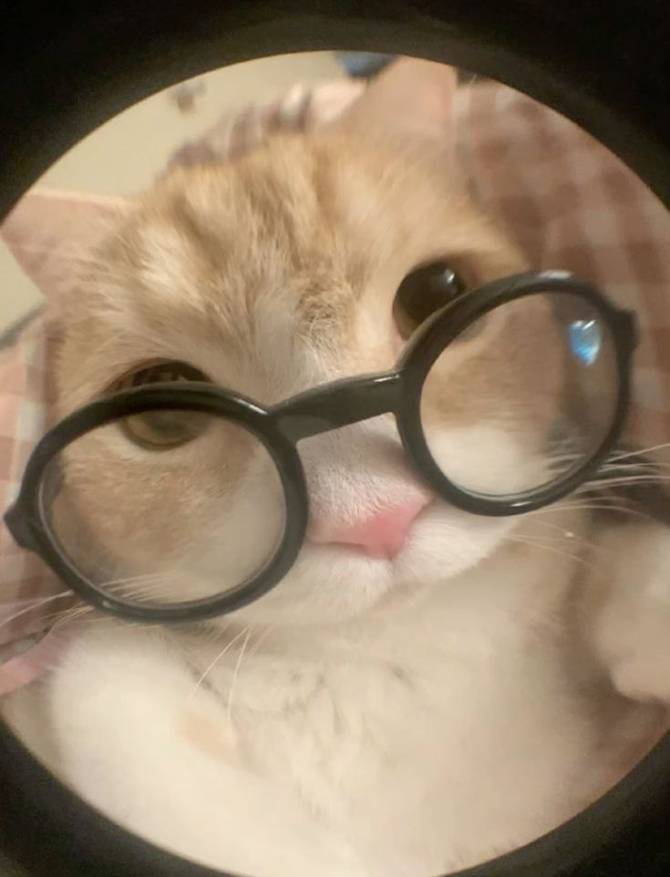 Illit Community Posts Du Du Duduuu ΰΈ
β O β ΰΈ
π Well Precious