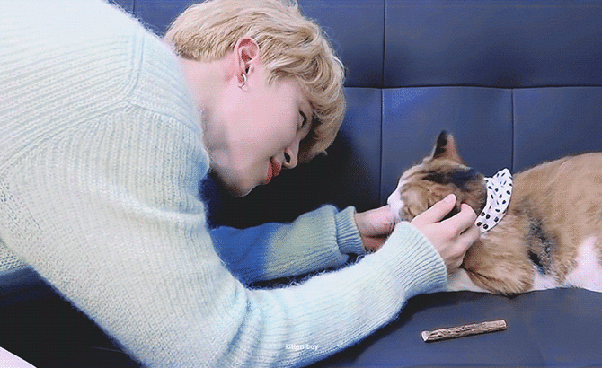 BTS Community Post - 🐈 지민시 ⏰ Jimin Time 민아 봄날의 나른한 고양이가 되어 네 포근한 손길 한번 ...