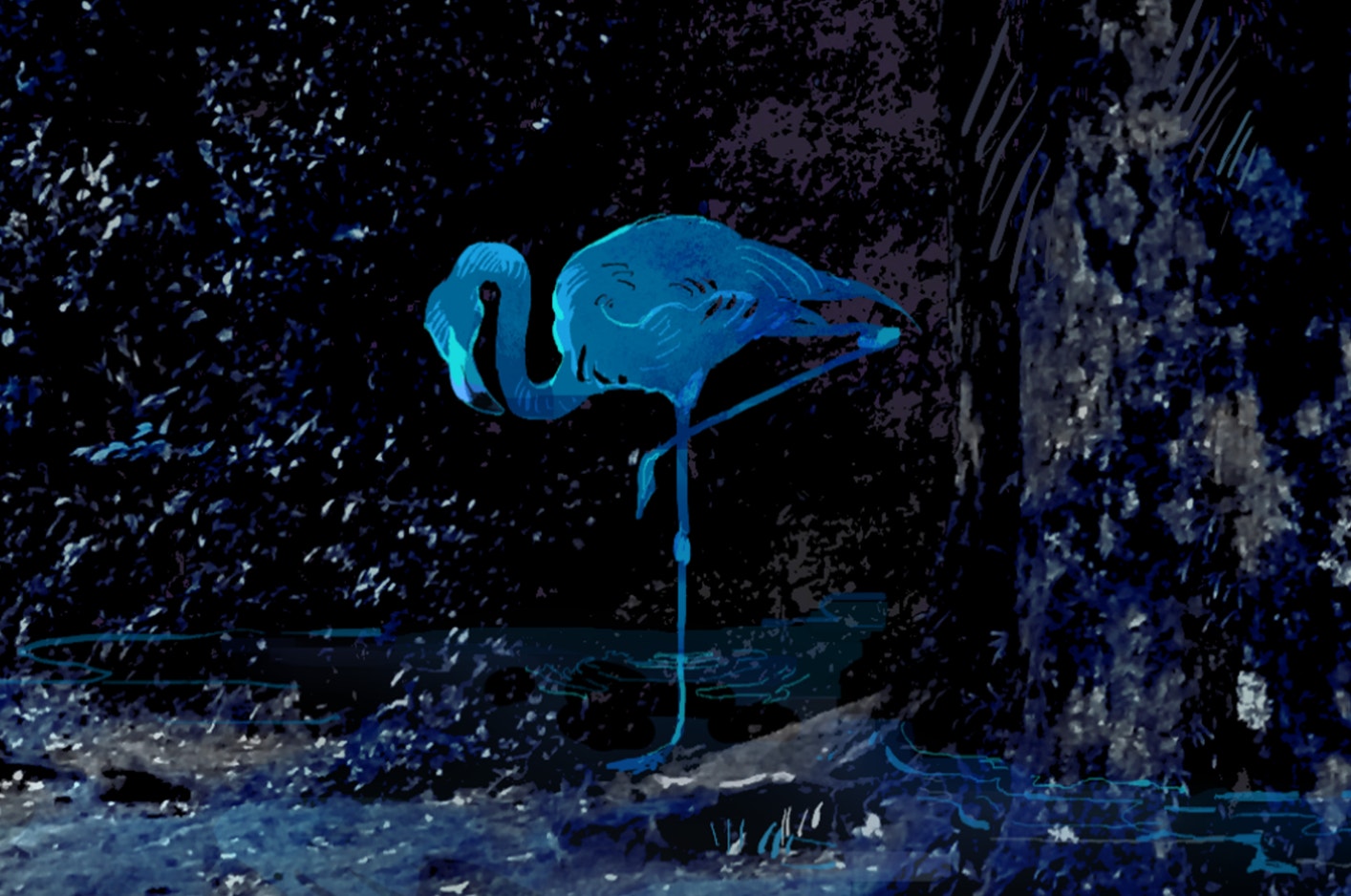 Weverse syudou Community Highlight