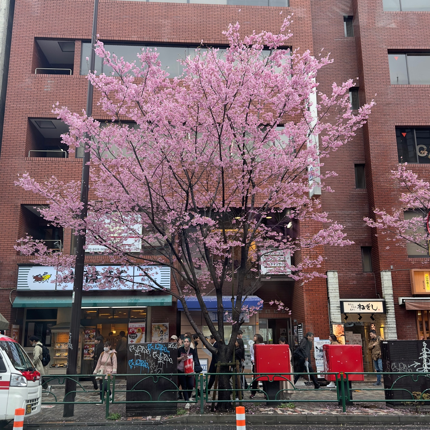 NOA 커뮤니티 포스트 - 梅なのかな - NOA