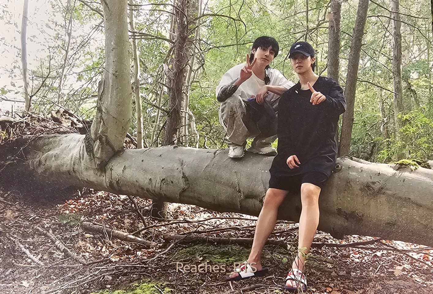 BTS Community Posts - "ARE YOU SURE PHOTOBOOK"💜💜