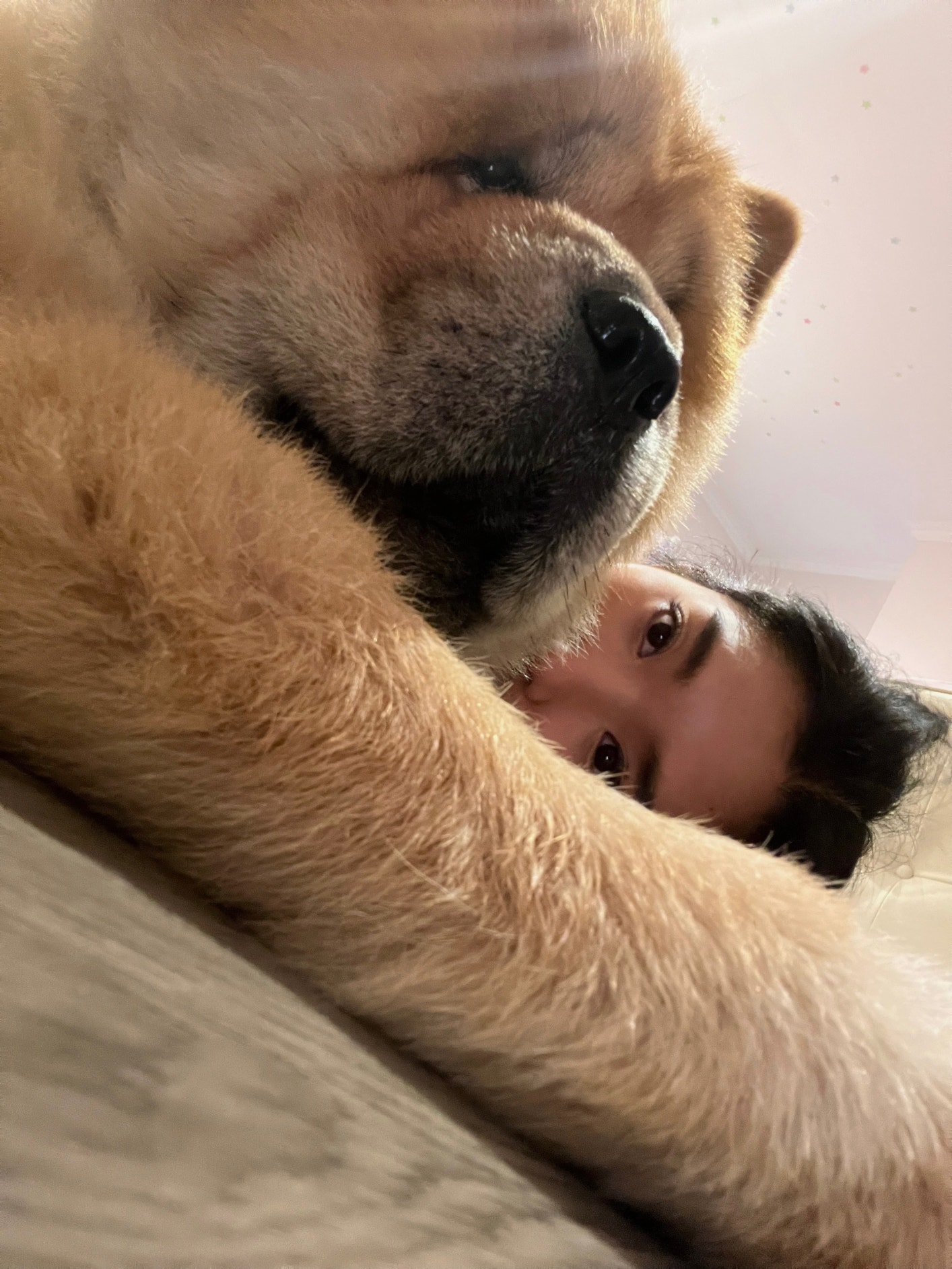 KATSEYE Community Post - fur babies dump!!! 🐾 charlie my big baby boy ...