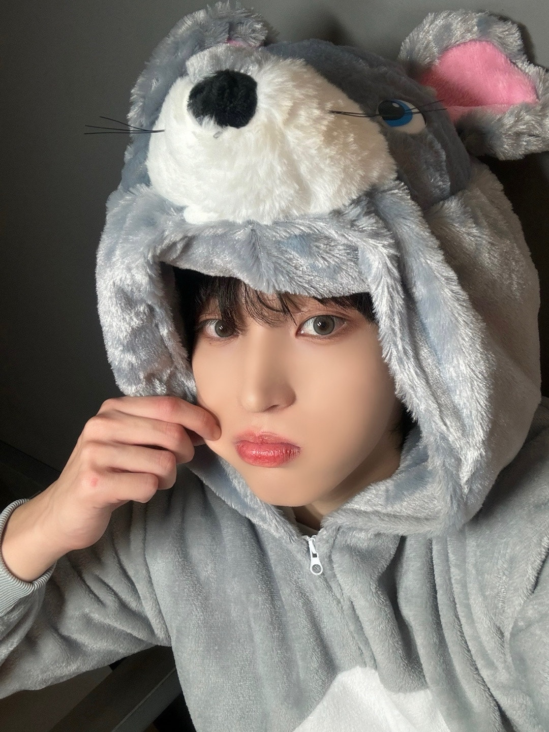 Dxmon 커뮤니티 포스트 찍찍찍 🐭🐁🐀 태극
