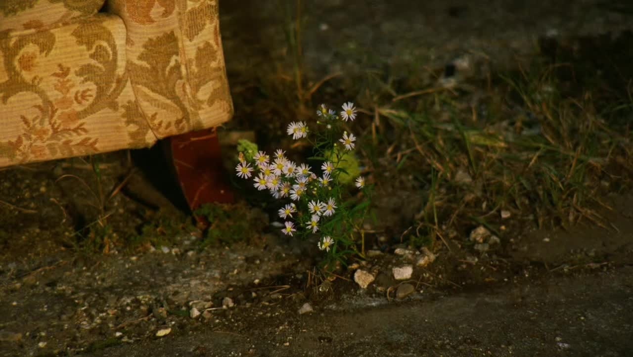 Red Velvet Community Post - IRENE 'Like A Flower' Mood Clip #3 IRENE The 1st Mini Album 【Like A ...