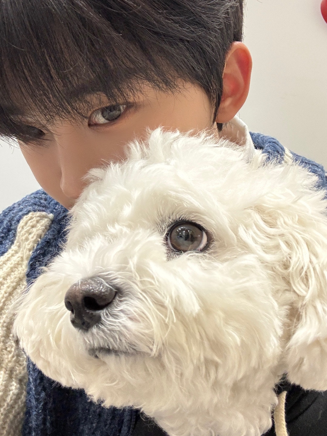 Lun8社群貼文 많이 춥더라구요 따뜻한 밤 되길 러베이트 ️ Dohyun
