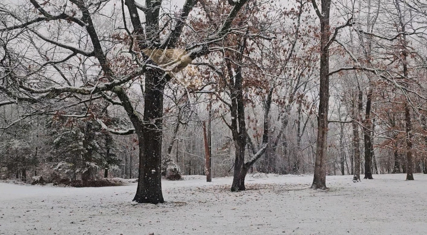 BTS Community Post - #to_v I saw the first snow of the year near me a ...
