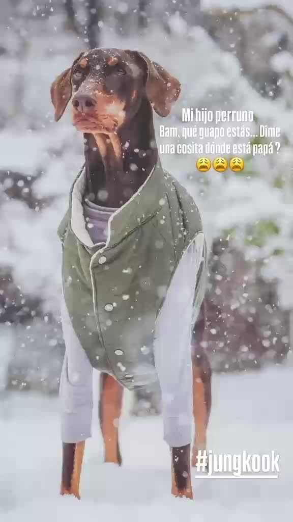 BTS Community Post - #jungkook extrañando al papa de esta hermosura… pero que guapo se ve BAM ...