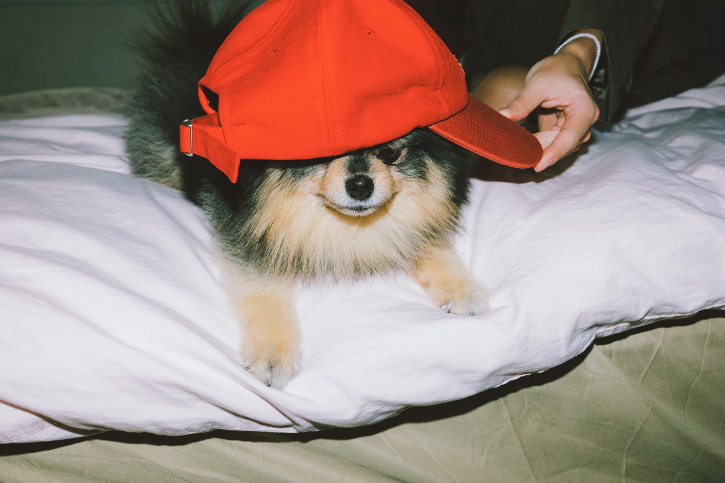 BTS Community Post - #to_tannie #to_v Sending you love and condolences ...