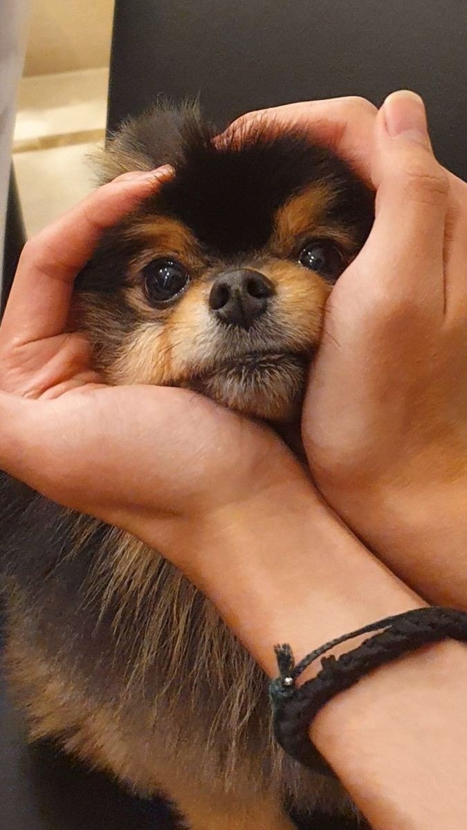 BTS Community Post - Yeontan kim Yeontan ...... remember that you ...