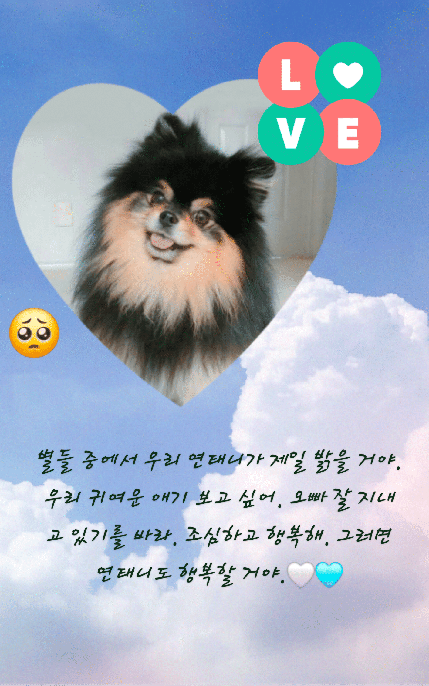 BTS Weverse Fan Letter