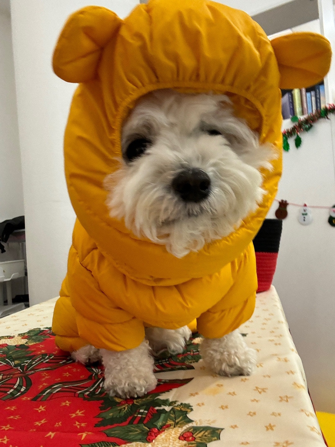 Lun8 Community Post 러베이트 안녕하세요🤗 3집 활동이 이제 끝이나서 마무리 인사 겸 12월의 시작을 같이 잘