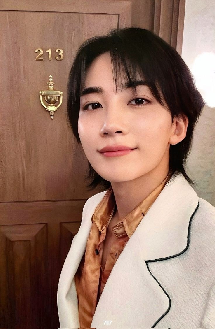 SEVENTEEN Community Post - 69/-569 days until Hanie will comeback 💞