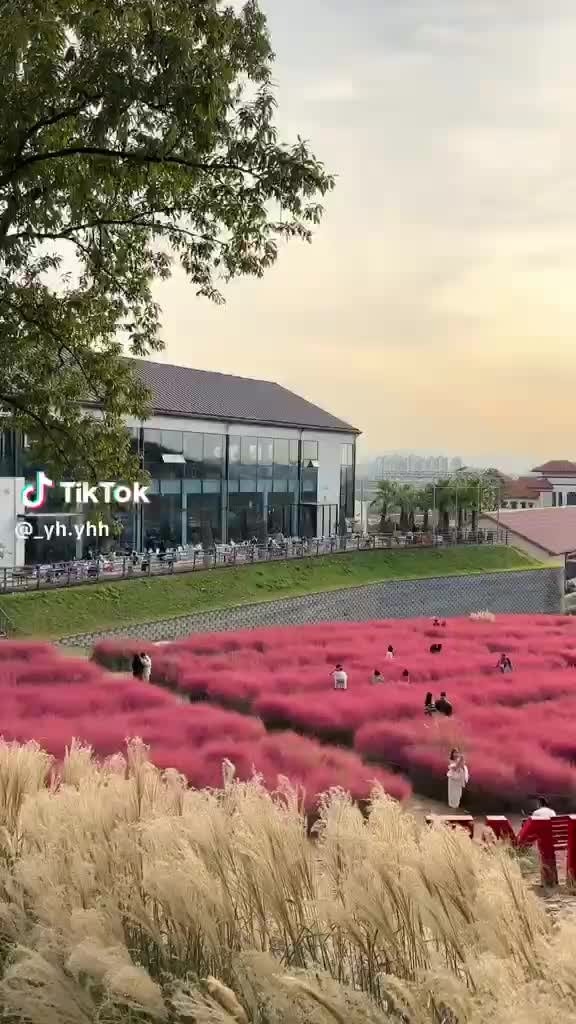 BTS Community Post - 🫠☺️♥️Together building and creating a beautiful ...