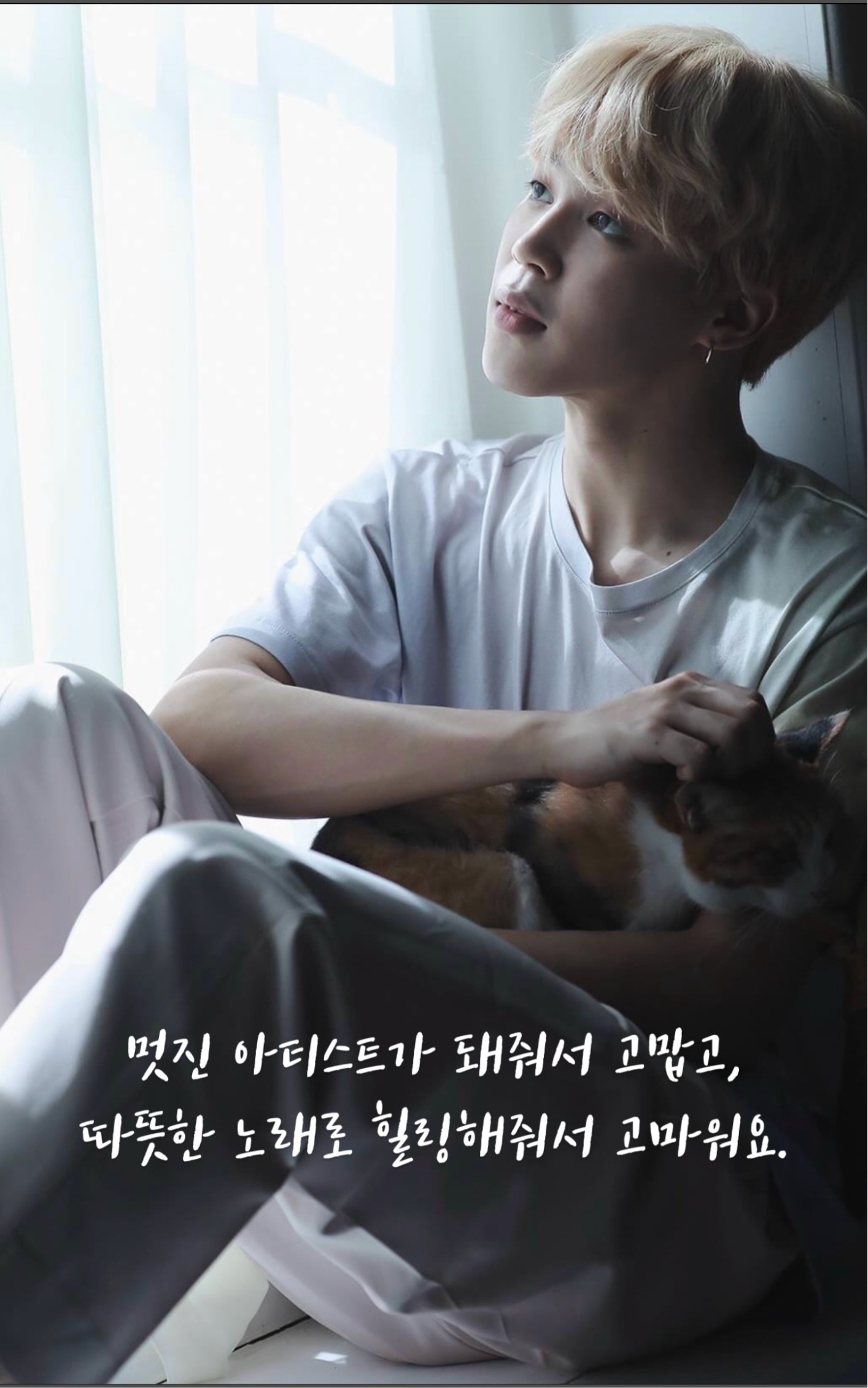 BTS Weverse Fan Letter