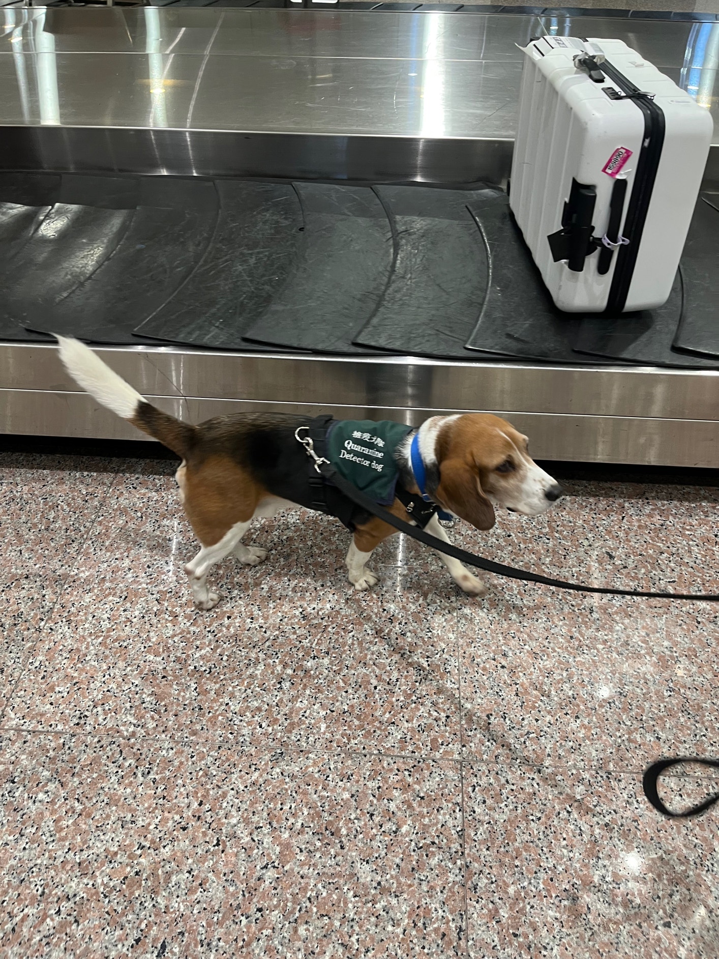 BTS Community Post - D-163 熟悉的場景。 坐一下，20萬。 marry~華航有事找你哦～