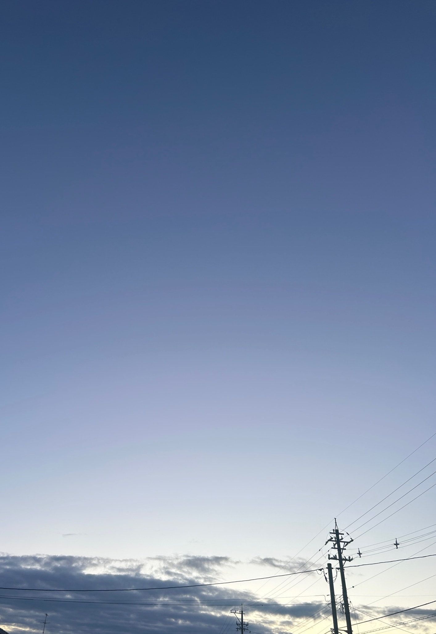 BTS Community Post - #To_JK D-163 グク🐰💜 おはようございます🥴 ️ 今日も美味しくご飯を炊いておかずも作っ ...