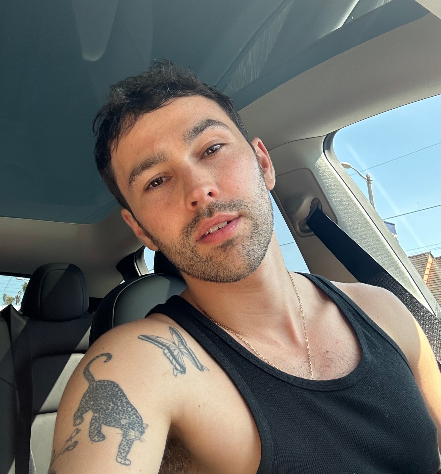 MAX Community Post - - MAX