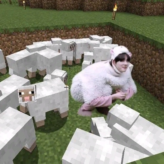 ENHYPEN Community Post - let's play Minecraft