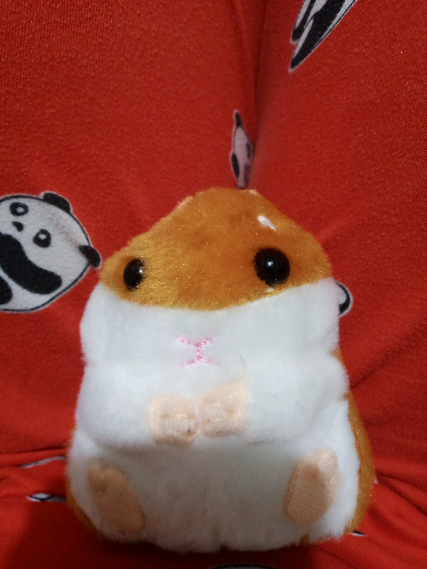ENHYPEN Community Post - Should i named this littler hamster, Lee ...