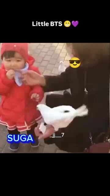 BTS Community Post - Little BTS