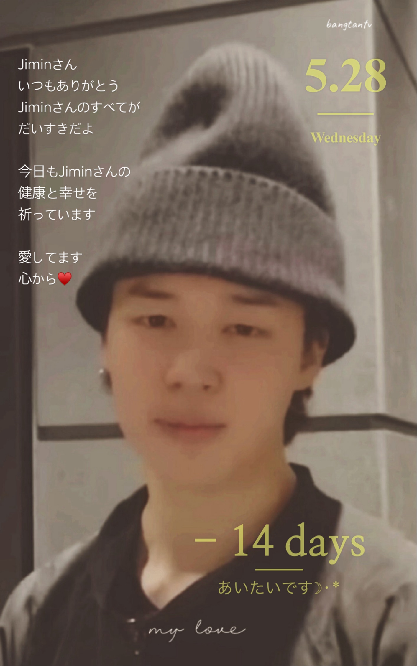 BTS Weverse Fan Letter