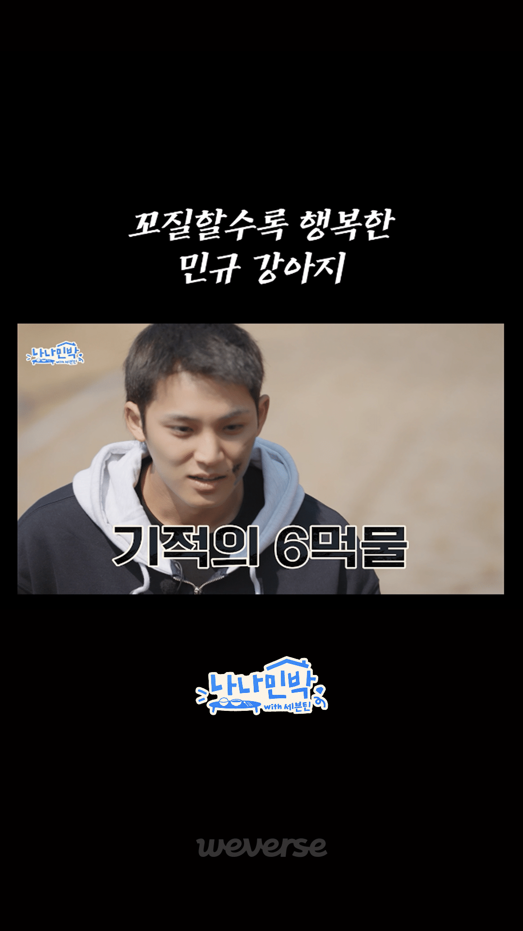 Weverse SEVENTEEN Media - The Messier, The Happier Puppy Mode MINGYUㅣ ...