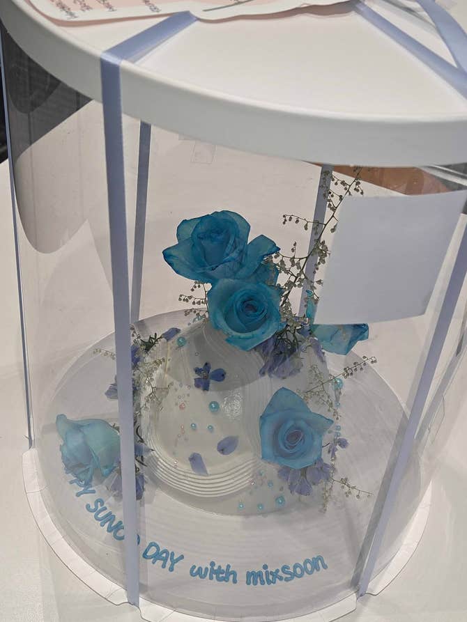 ENHYPEN Community Post - so many pretty cakes for our pretty birthday ...