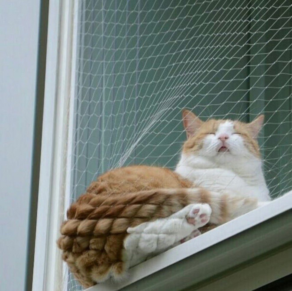 Hebi. Community Post - 아뇨옹…🥱 이제 일어났우다 - Hebi.