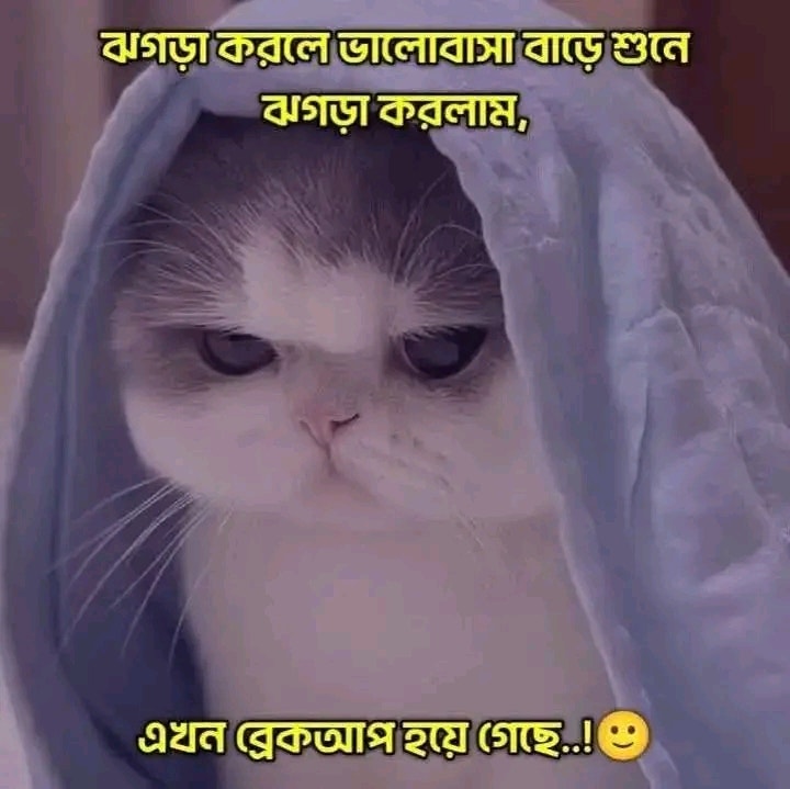 BTS Community Post - 🥹💔🥺 I would never quarrel again in my life. 👍