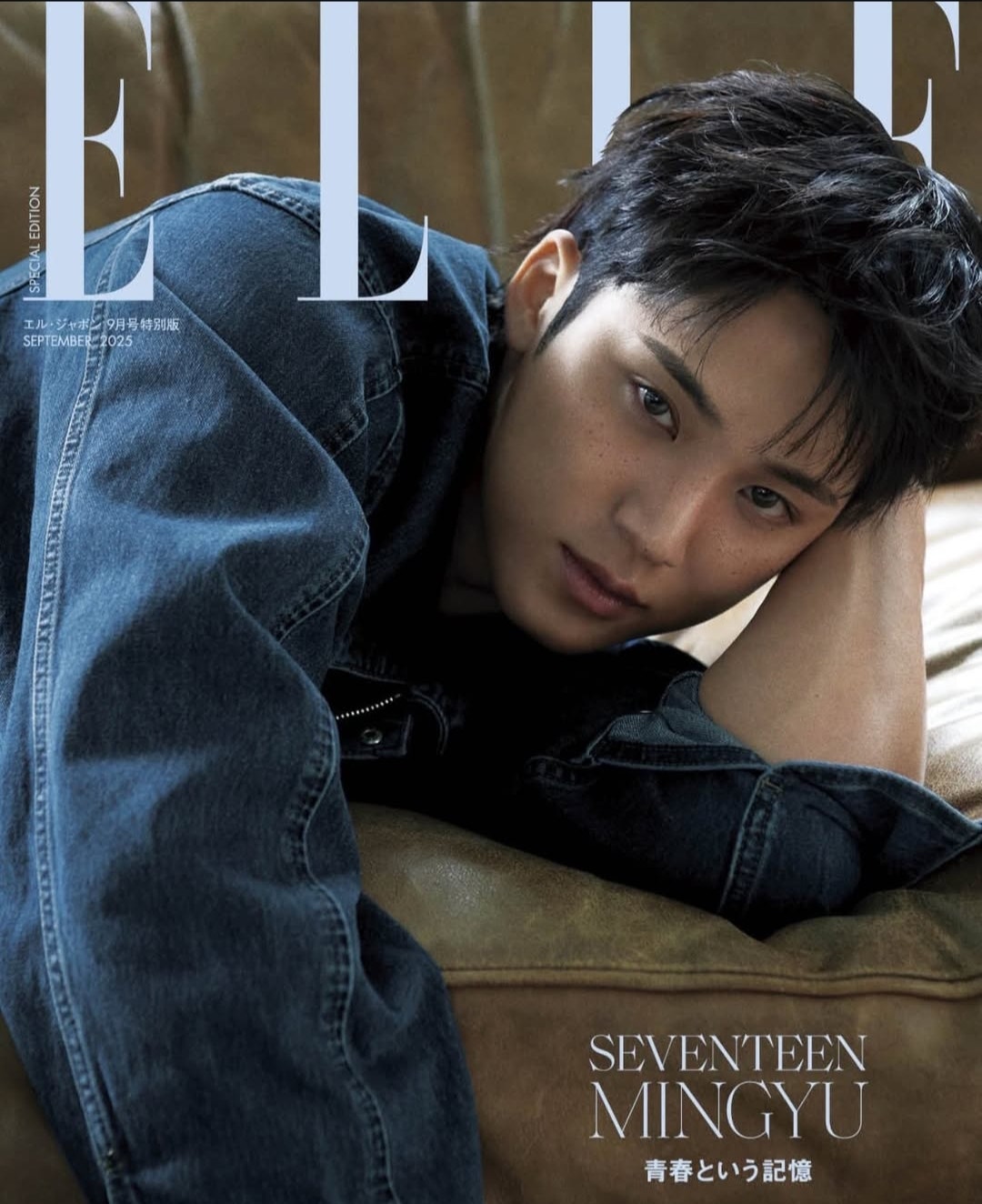 SEVENTEEN Community Post - Mingyu hits different.🔥🩵🩷🥰😍🐶 #Mingyu # ...