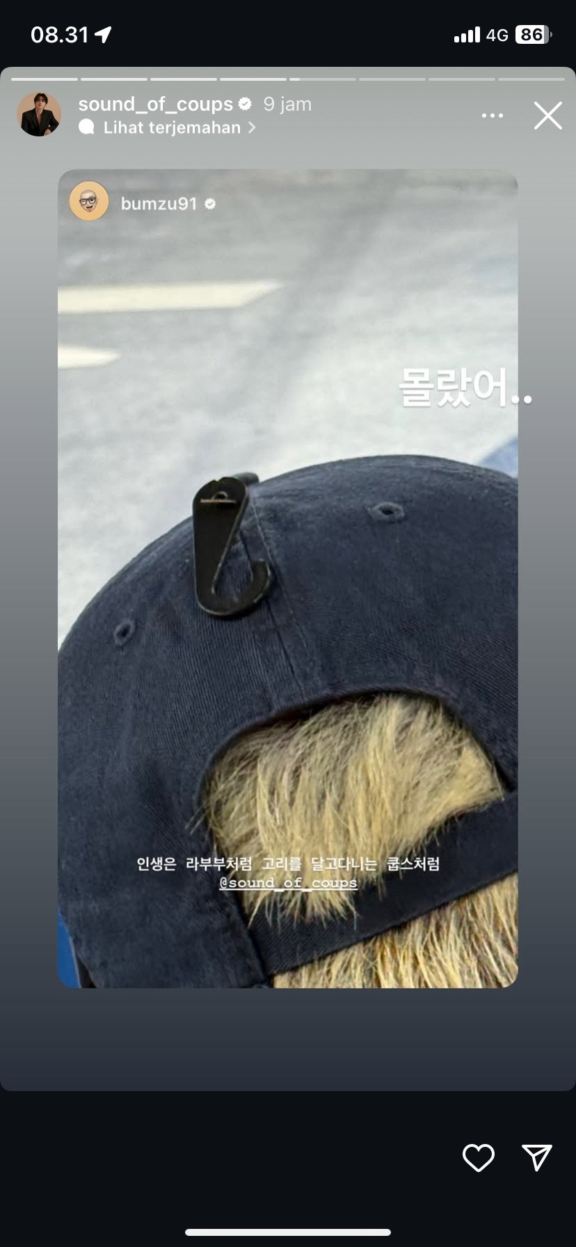 SEVENTEEN Community Post - LABUBU LACOUPS 😭🤣