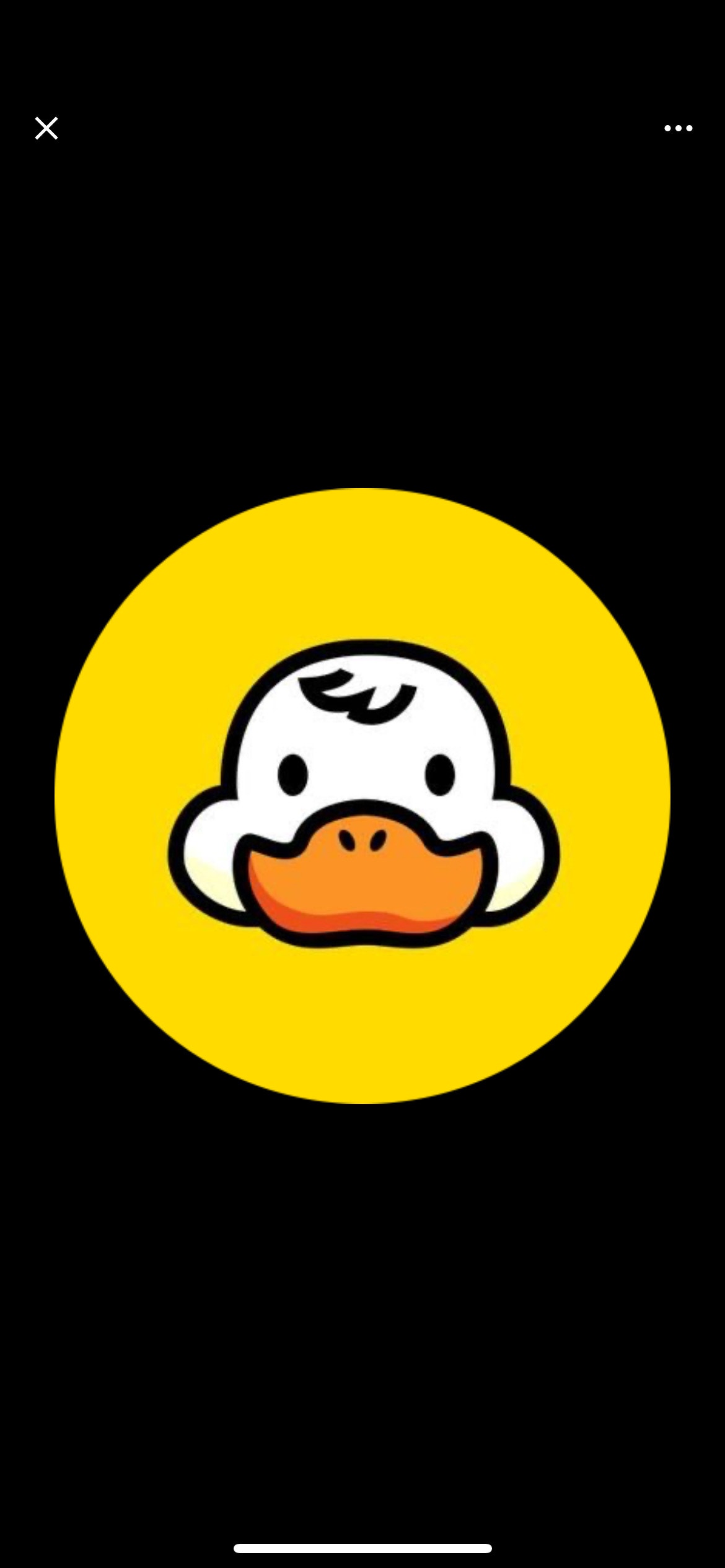 BTS Community Post - dont show me a duck in my life anymore