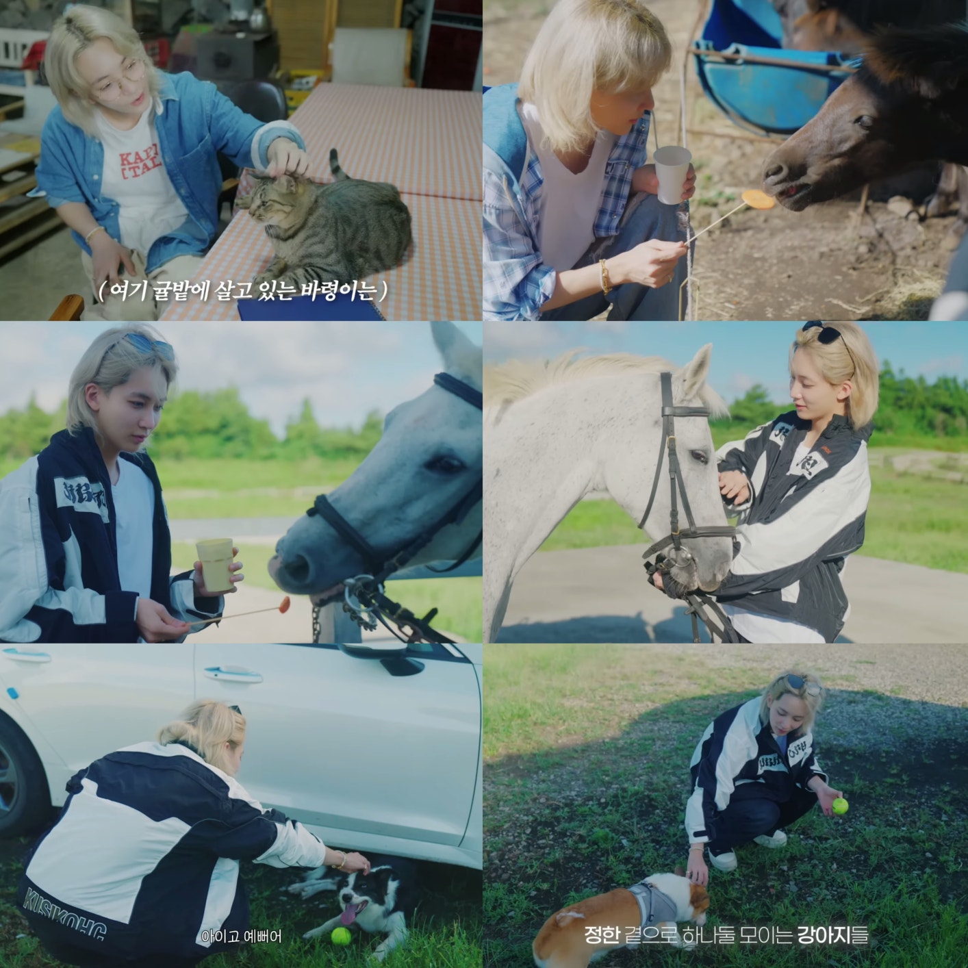 SEVENTEEN Community Post - Jeonghannie It is very precious 🥺 #hanihae # ...