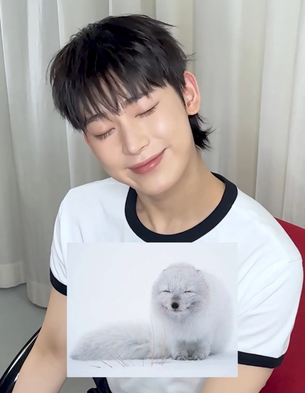 ENHYPEN Community Post - my sunoo arctic fox agenda is finally winning😭 ...