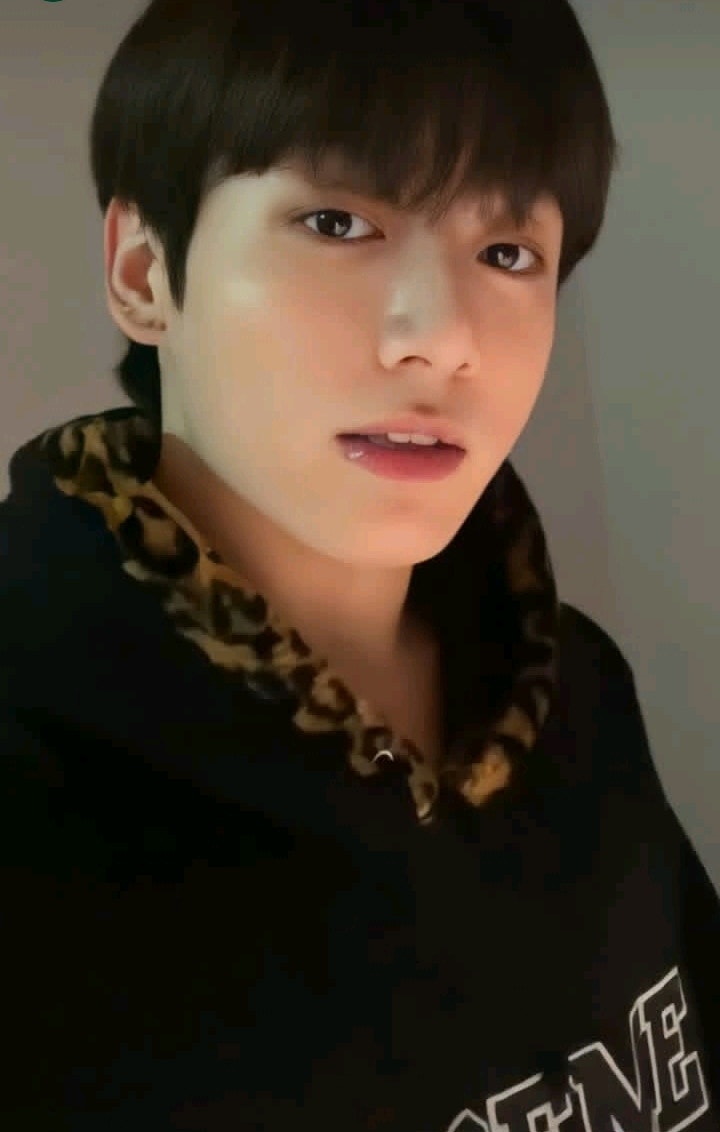 BTS Community Post - Cute Bunny 🐰🐰