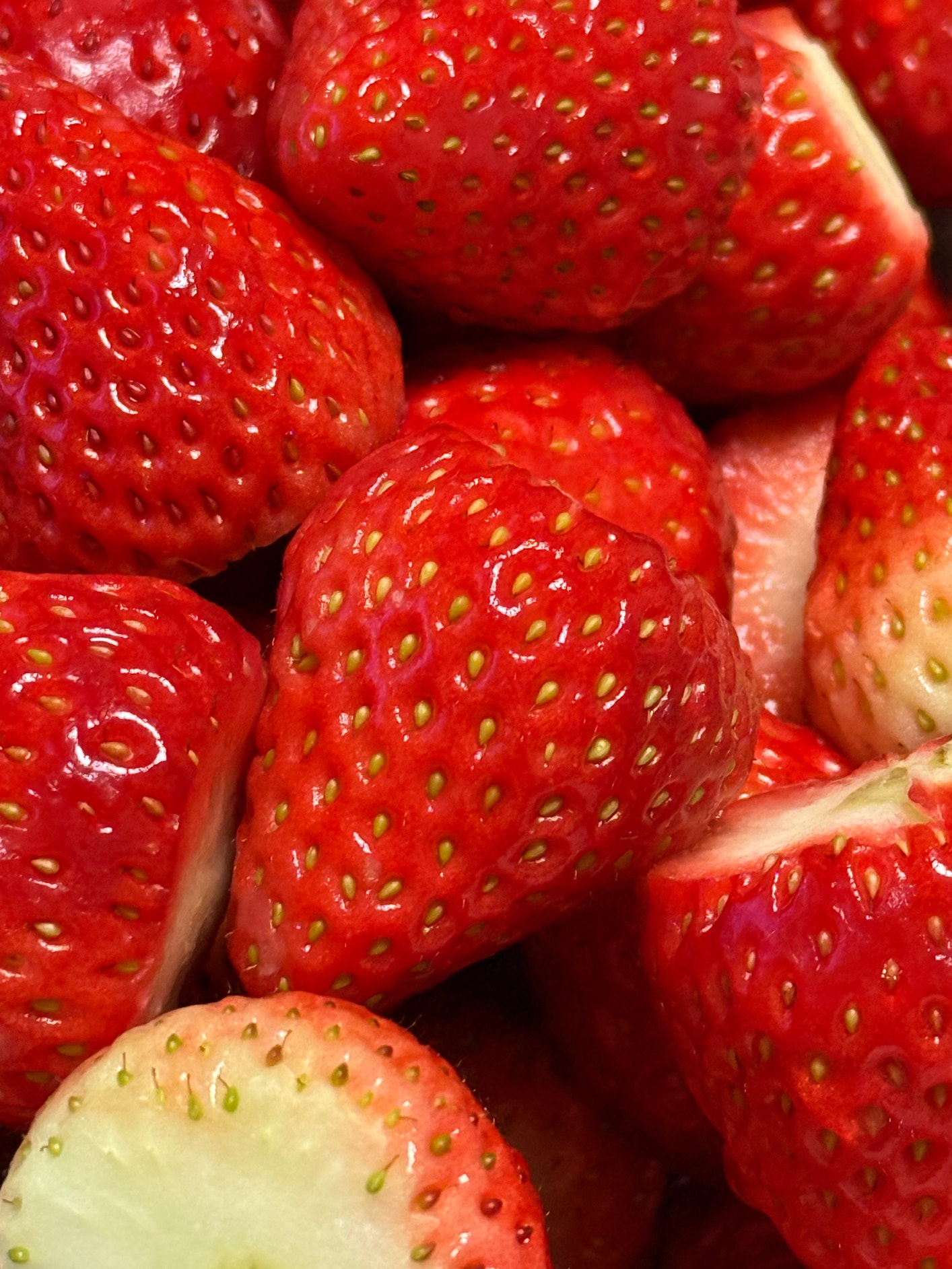 &TEAM 커뮤니티 포스트 - 😳😛 - YUMA