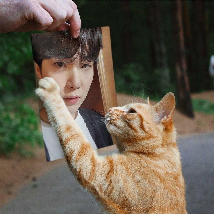 BTS Community Post - bring my yoongi back pls...i miss him so much😭😭😭😭😭😔😔😔😔