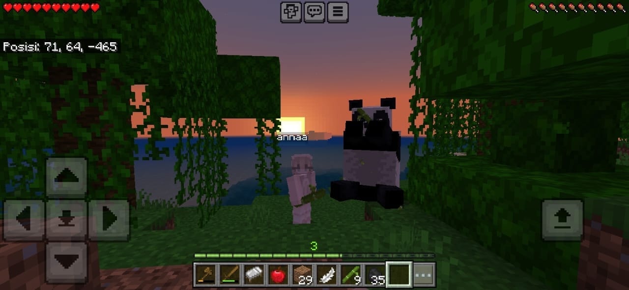 ENHYPEN Community Post - 정원오빠 나 팬더랑 사진 찍고 있어여의 ++ minecraft