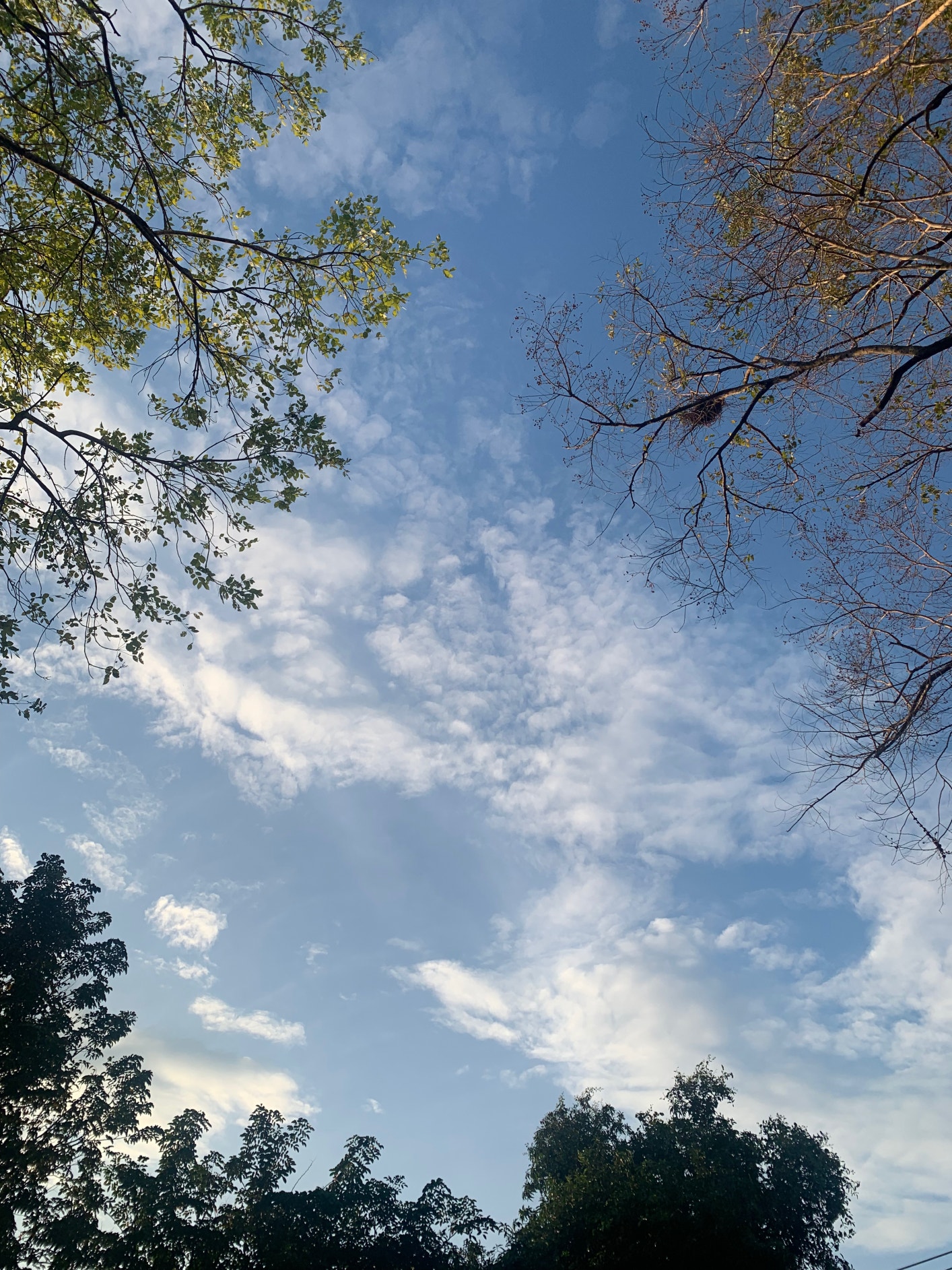 BTS Community Post - Suga is sky Day 1126 ⛅️ Today the sky is very cute ...